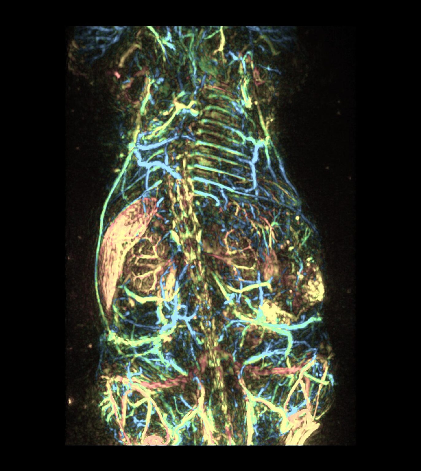 4020-GALLERY2 | 3010-SERVICE | Luxonus